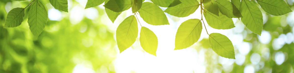 Part 1 Getting Started again Build A Web App With Spring Boot SPR